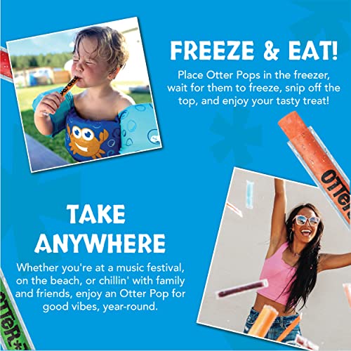 Otter Pops, Original Assorted Freezer Pops, 1oz Freeze Pops in Six Zippy Flavors, 100 Count, (85100)