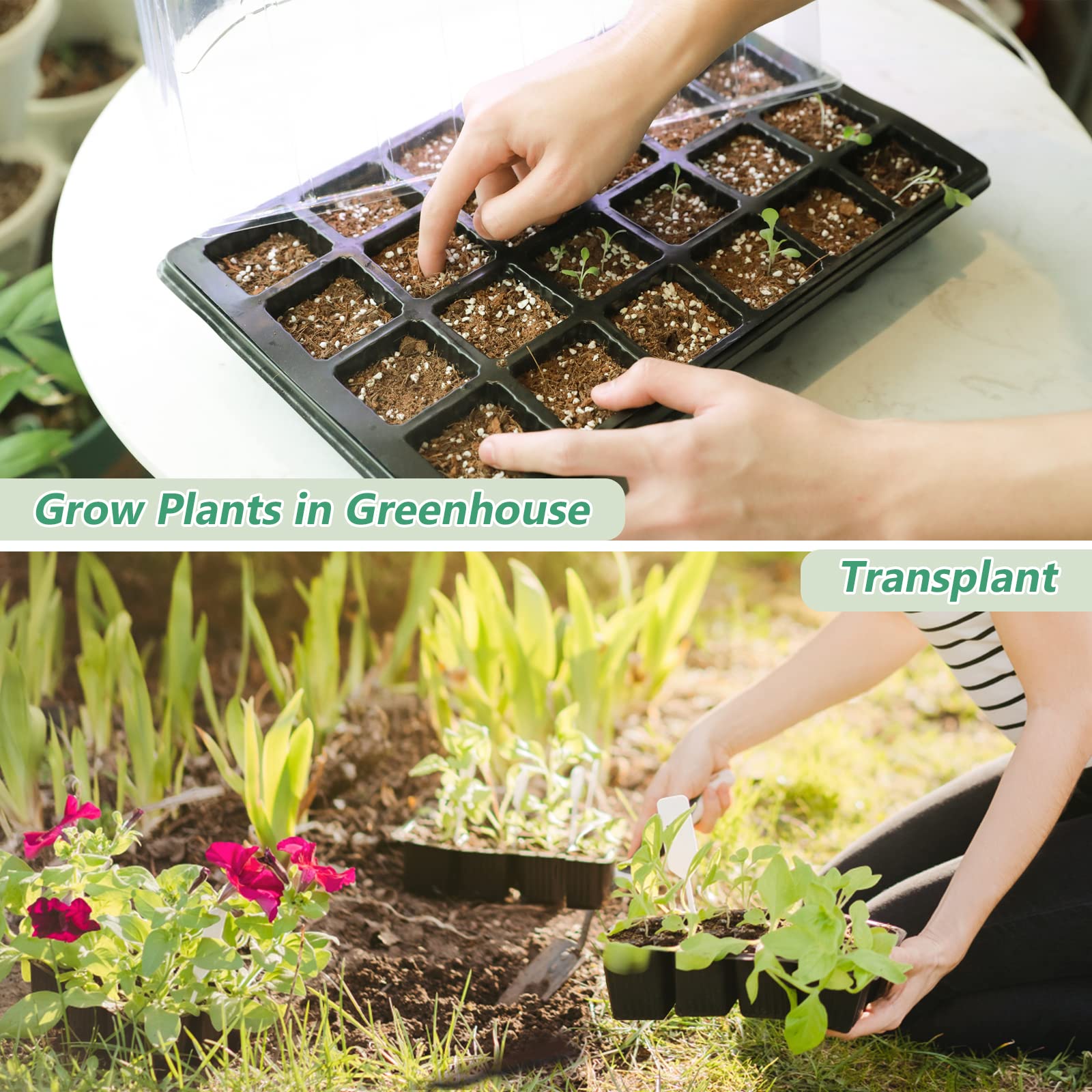MINEGROW Seedling Starter Trays,2 Packs Seed Starter Tray with Grow Light,Seed Starter Kit with Humidity Dome,Plant Starter Trays for Indoor Plants,Grow Lights for Seed Starting (Large 14.6"*9.5"*6")