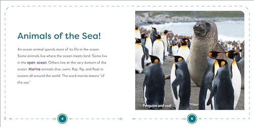 My First Book of Ocean Animals: All About Marine Wildlife for Kids