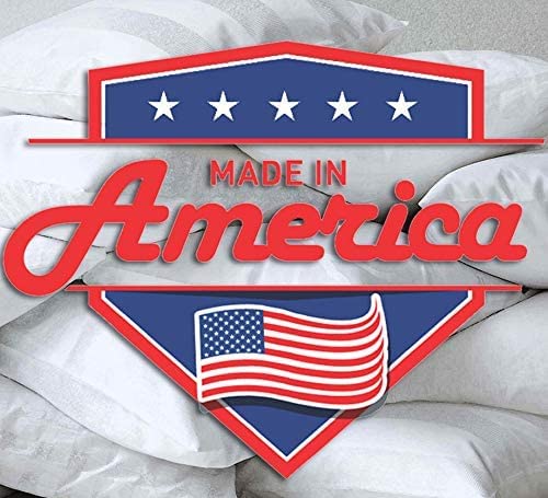 MSD 2 Pack Pillow Insert 34X34 Hypoallergenic Square Form Sham Stuffer Standard White Polyester Decorative Euro Throw Pillow Inserts for Sofa Bed - Made in USA (Set of 2) - Machine Washable and Dry