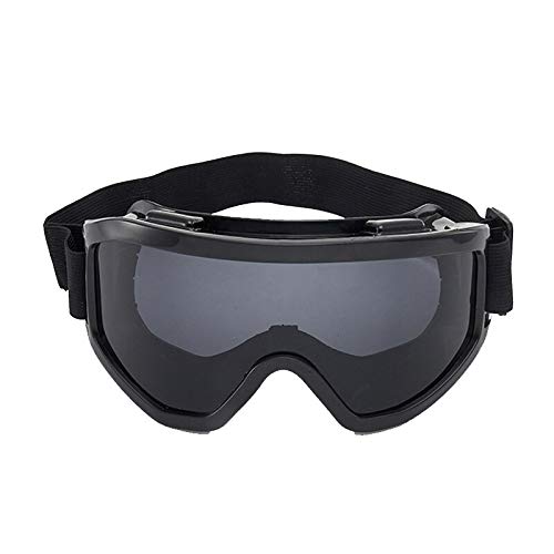 Snowboard Goggles Ski Snowboard Goggles Mountain Skiing Eyewear Snowmobile Winter Sport Goggle Snow Glasses Ski Goggles (Color : C)