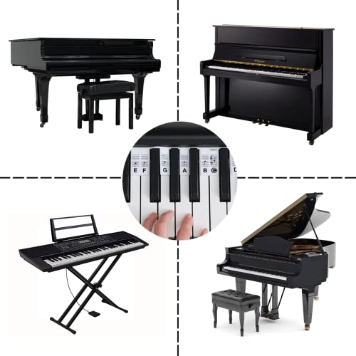 WQR Piano Keyboard Note Guides - Removable Piano Keyboard Note labels 88/61/54/49/37 Keys for Beginners, No Need Stickers, Reusable & Portable, Comes with Box(Colorful)