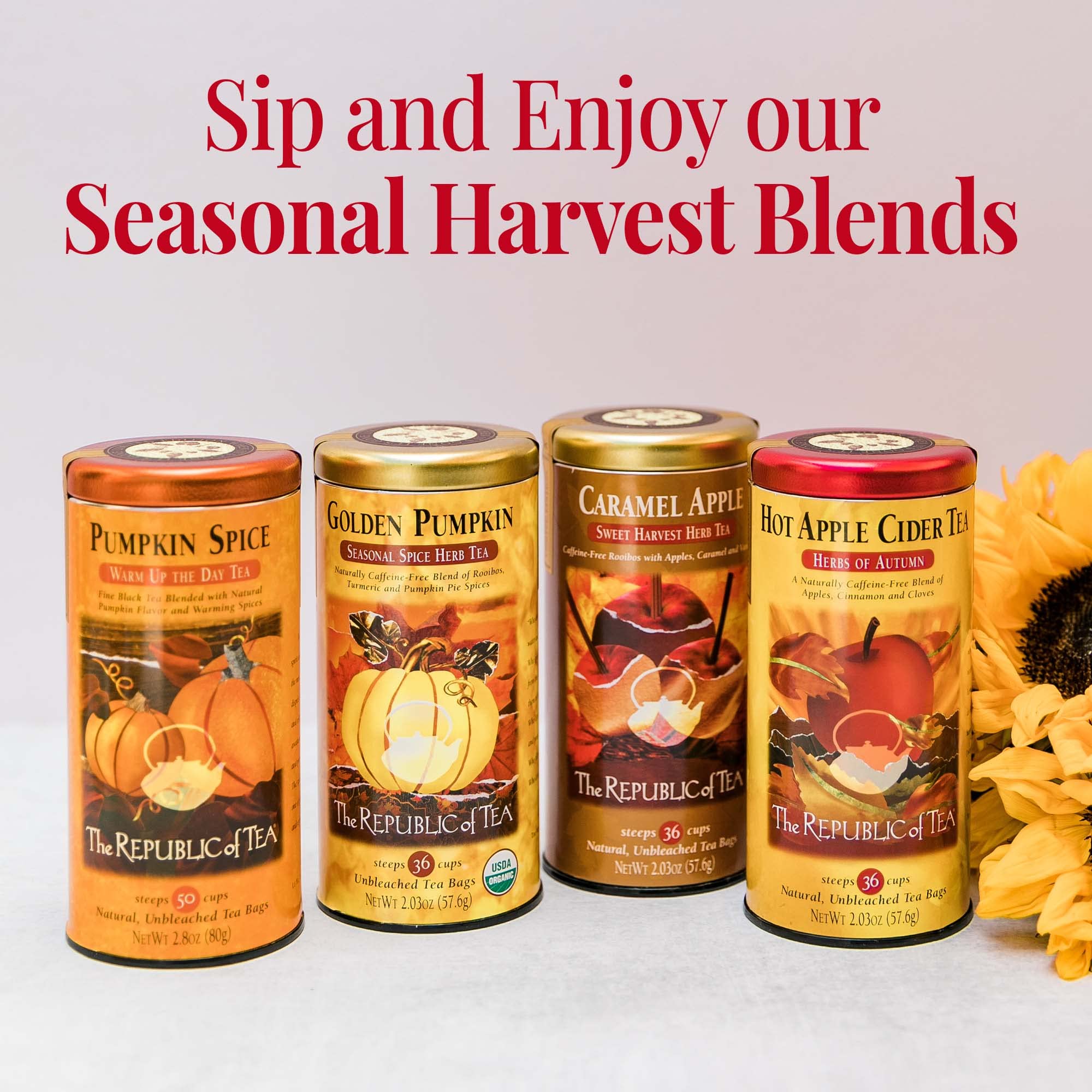 The Republic of Tea - Hot Apple Cider Tea, 36 Tea Bags, Tin | Harvest Herbal Blend | Caffeine-free