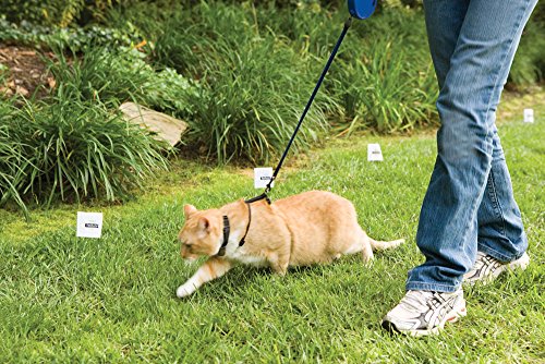 PetSafe Premium In-Ground Cat Fence