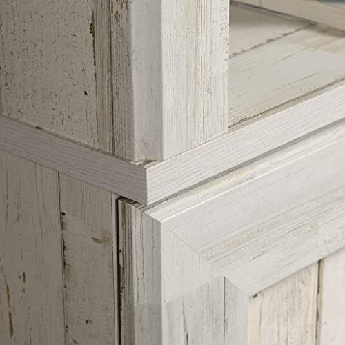Sauder Miscellaneous Storage Bookcase/ Book Shelf With Doors, White Plank finish