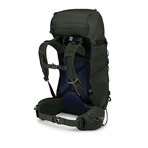 Osprey Kestrel 38 Men's Backpacking Backpack, Picholine Green, Small/Medium