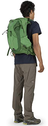 Osprey Manta 24L Men's Hiking Backpack with Hydraulics Reservoir, Green Shade, One Size