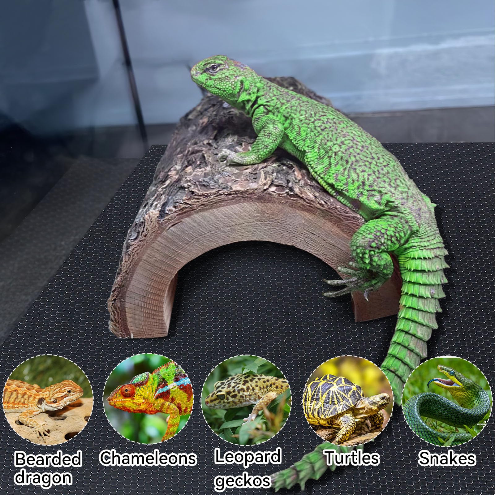 MEWTOGO Reptile Carpet, Bearded Dragon Tank Accessories, Reptile Terrarium Carpet Substrate, Non-Adhesive Durable Reptile Mat for Leopard Gecko Lizard Snake Tortoise, 17'' x 39''