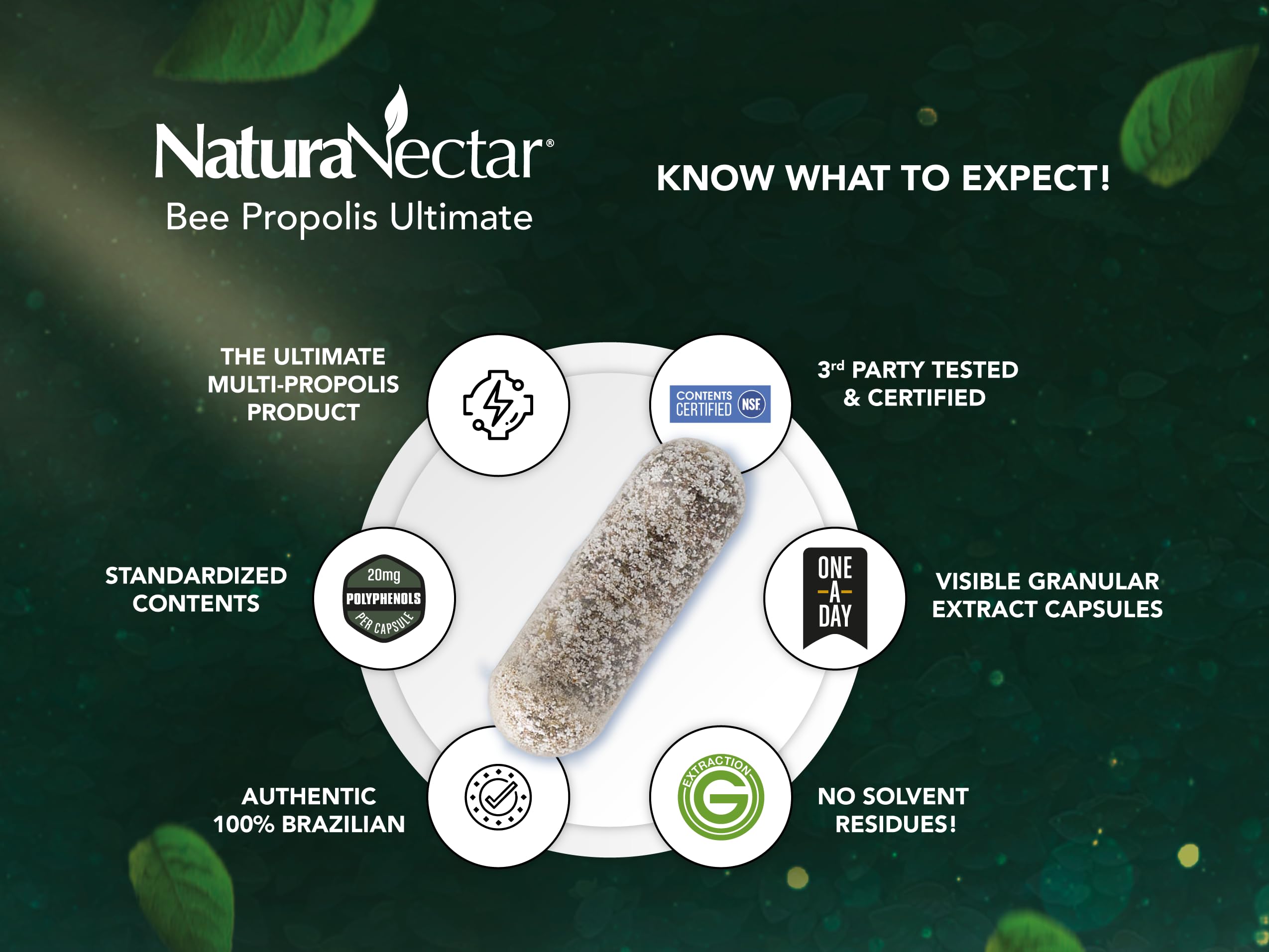 NaturaNectar Ultimate Bee Propolis | NSF Contents Certified | Premium Red, Green, Brown Brazilian Propolis | with Flavonoids and PWE | Ethical Beekeeping & Naturally Sourced | 60 veggie capsules
