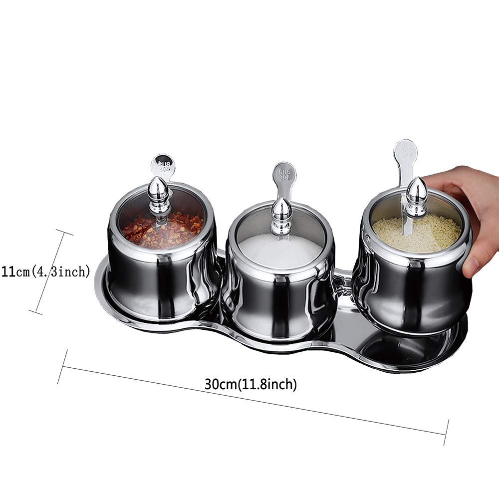 TENTA TENTA KITCHEN Gourmet Seasoning Box with Serving Spoons, Spice Jar Set Condiment Cruet Bottle, Kitchen Supplies,Nice Design for Kitchen (Stainless Steel With Glass Lids)