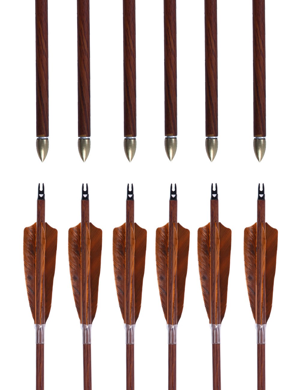 PANDARUS Archery 31-Inch Carbon Hunting Arrows, 4-Inch Turkey Feather Fletching with Replaceable Points, Targeting Practice Arrows Spine 500 for Recurve & Traditional Bows (12 Pack)