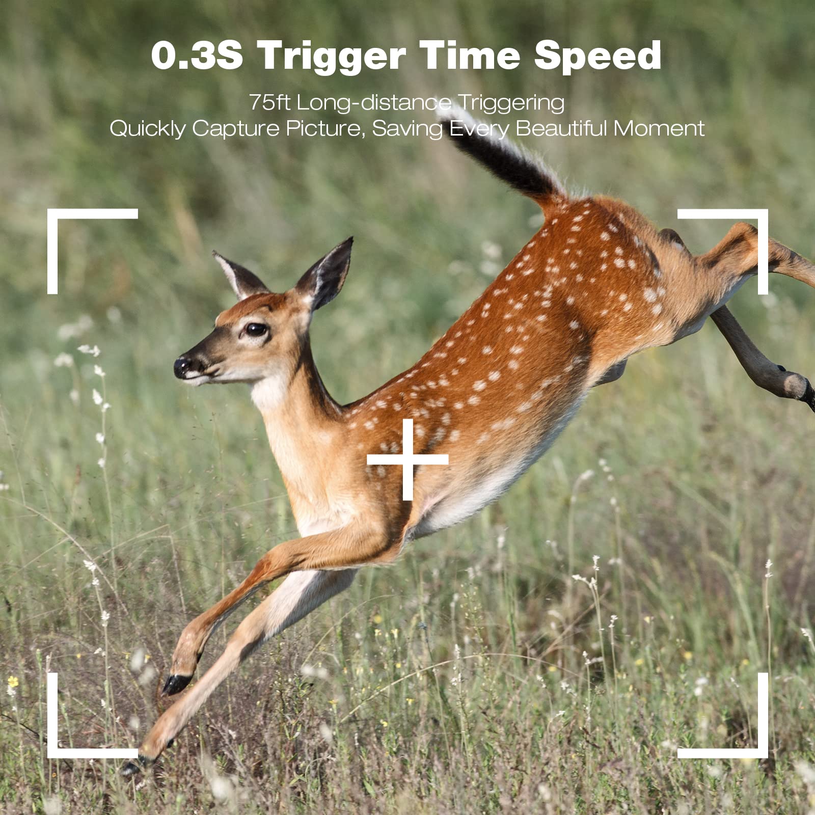Trail Camera 20MP 1080P Waterproof Game Hunting Cam with 3 Infrared Sensors Motion Activated Night Vision for Wildlife Monitoring