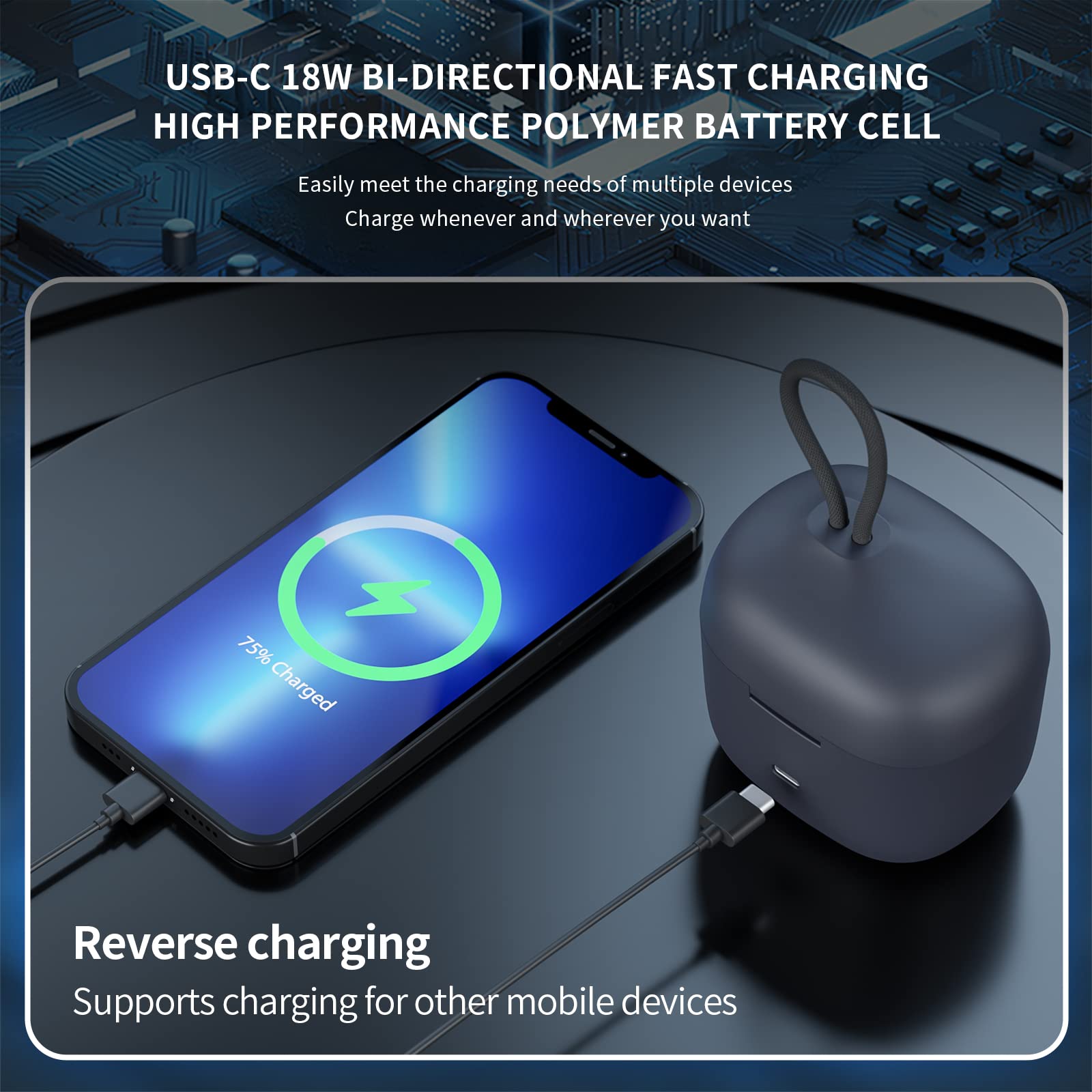 TELESIN Wireless Charging Case for Rode Go i ii Go 2, Large Capacity Quick Charge Battery Charger Storage Carry Case for RODE Wireless Lavilier Microphone Accessories