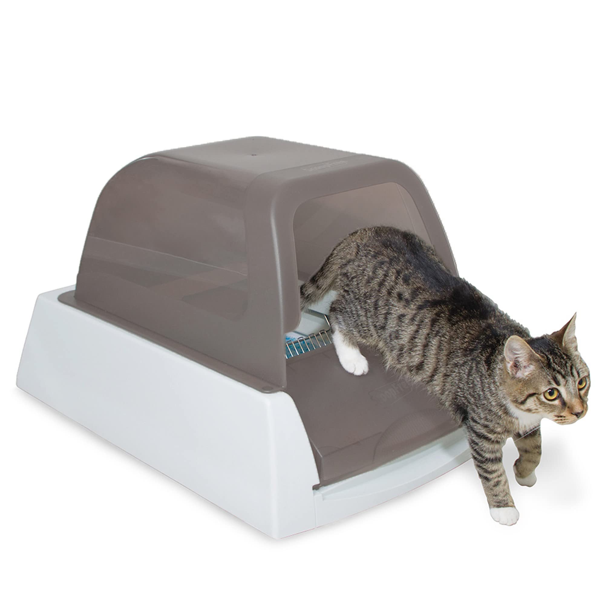PetSafe ScoopFree Purple Top-Entry Covered Ultra Self Cleaning Cat Litter Box System - includes Automatic Cat Litter Box with Lid, Disposable Litter Tray, 4.5 lb Premium Blue Crystal Cat Litter