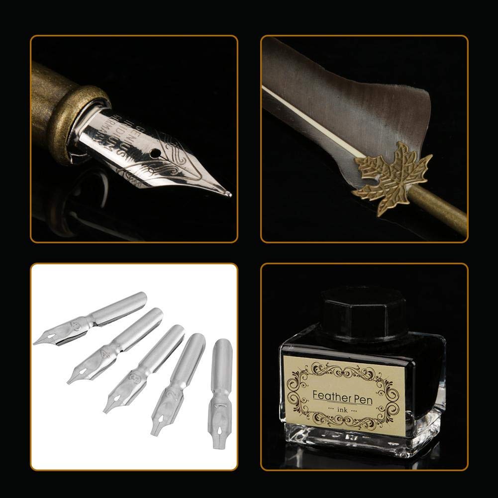 Quill Feather Pen with 5 Steel Replacement Nibs and Dip Ink Bottle in Vintage Gift Box for Antique Calligraphy (Gray)