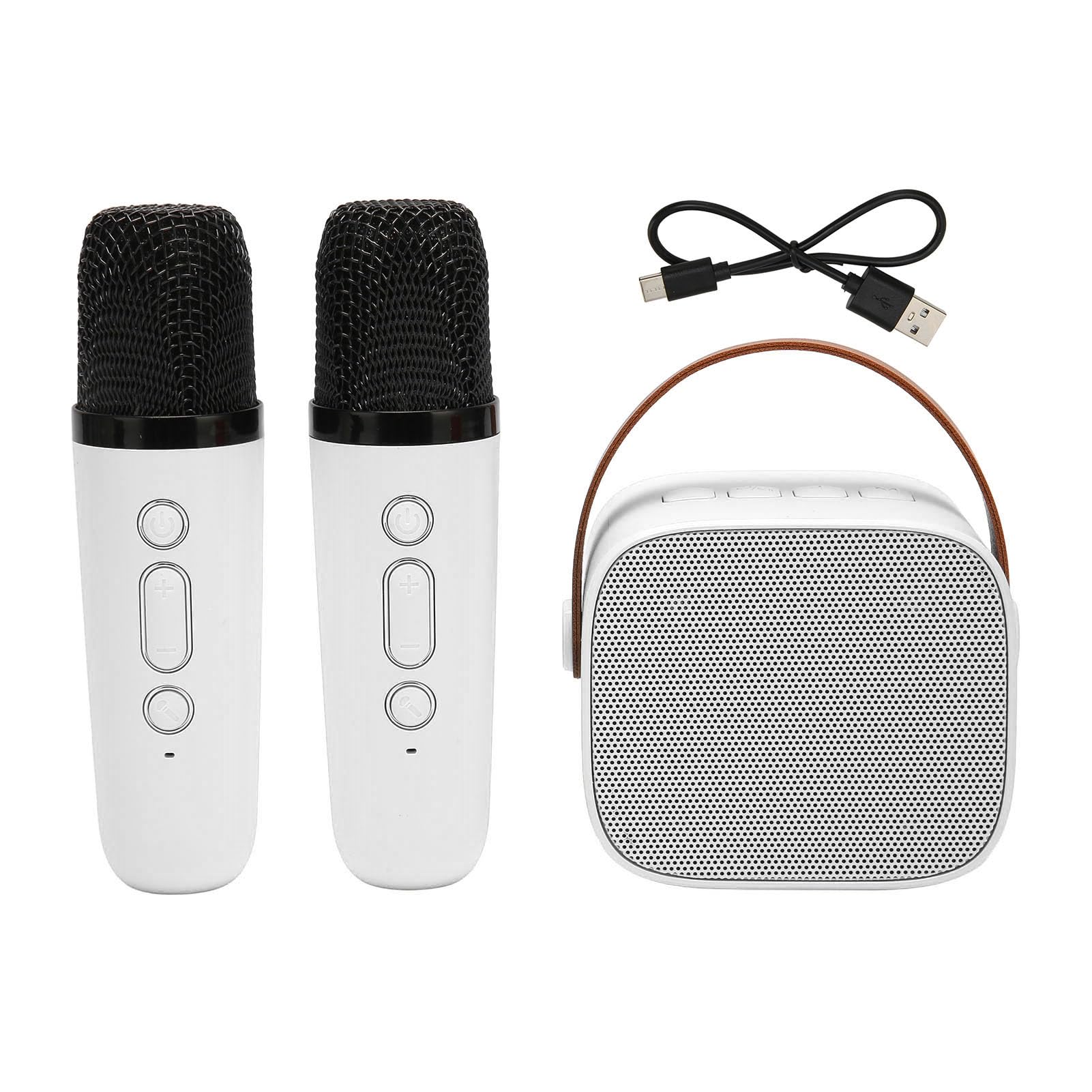 Portable Karaoke Machine, Reverb Sound Function Voice Changing Effects Portable Speaker Multifunction for Party for KTV (#1)