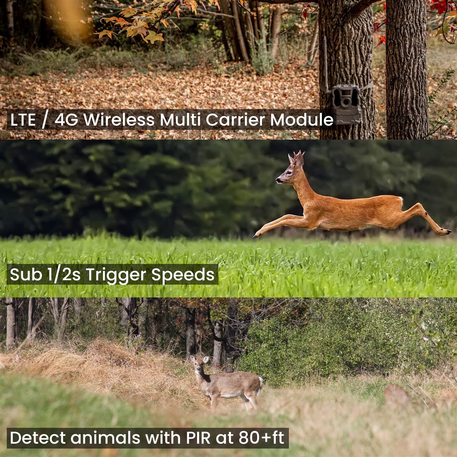 TACTACAM Reveal XB Cellular Trail Camera, No Glow - Verizon & AT&T (2 PK) + 2 Steel Cases