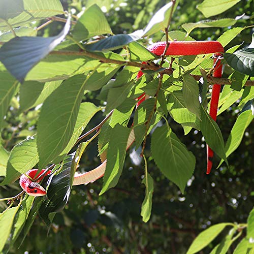 Rubber Snakes to Keep Birds Away - Realistic Fake Rubber Snakes for Garden Props to Scare Birds, Squirrels, Mice and Pranks (4 Pieces)