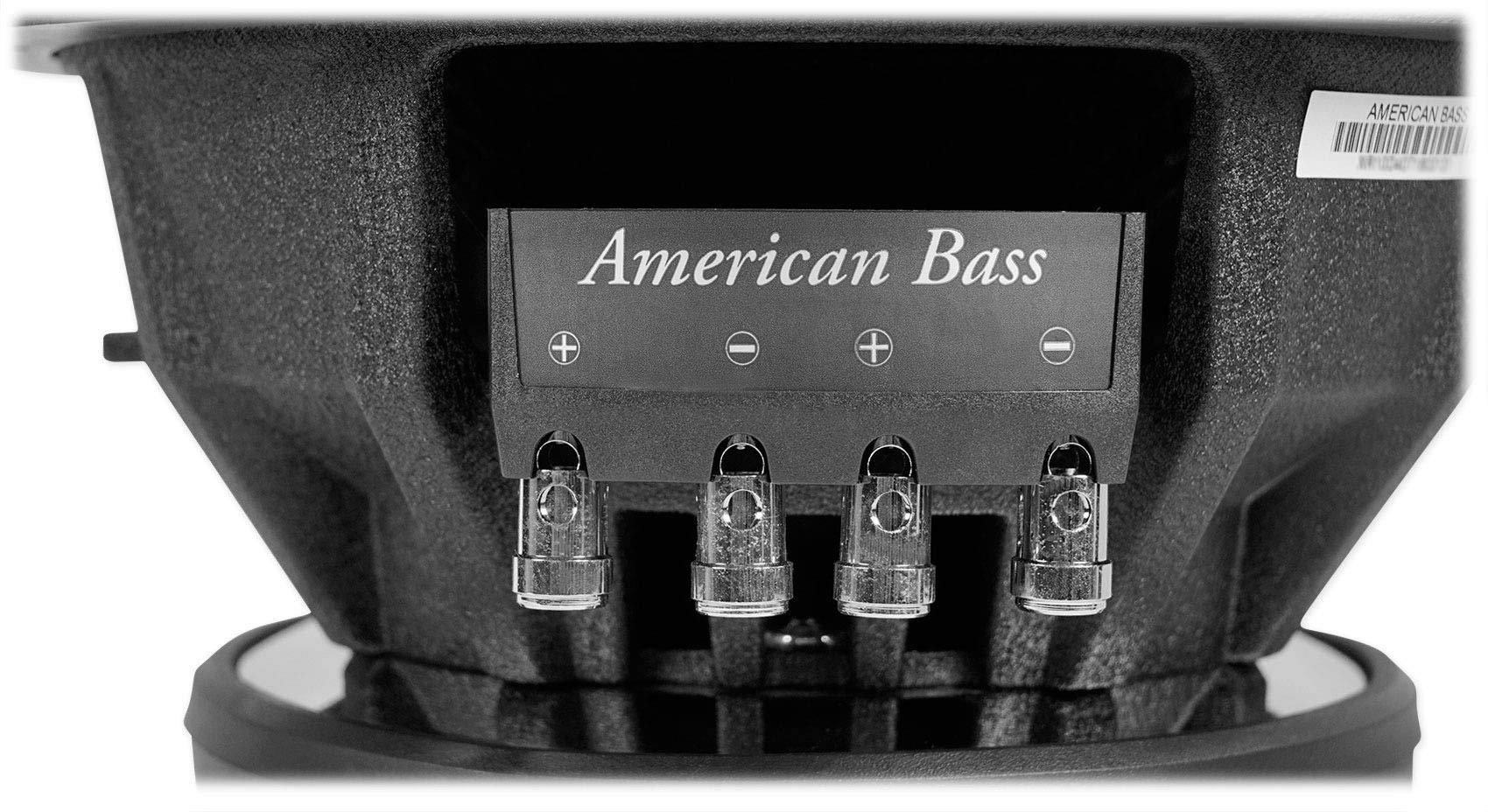 New American Bass Xr-10D4 2000 Watt 10 Inch Dual 4 Ohm Subwoofer Car Audio Sub