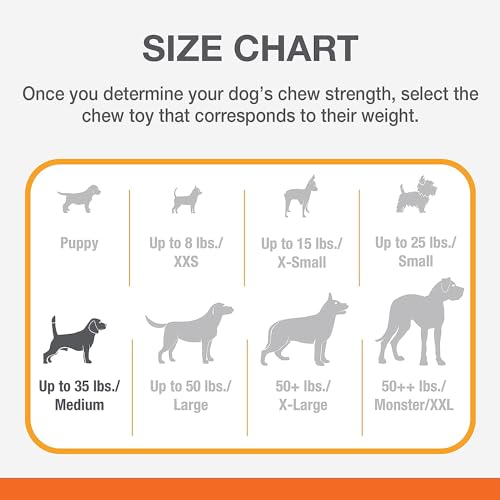 Nylabone Strong Chew Cone Stuffable Chew Toy for Dogs, Bacon Flavored Fillable Treat Toy, Medium/Wolf - Up to 35 lbs. (1 Count)