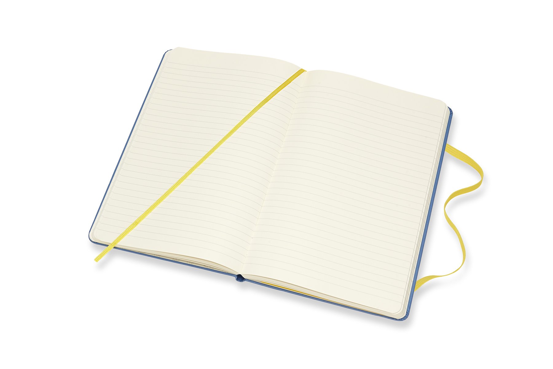 Moleskine Limited Edition Minions Notebook Large Ruled B29 Blue (8055002855396)