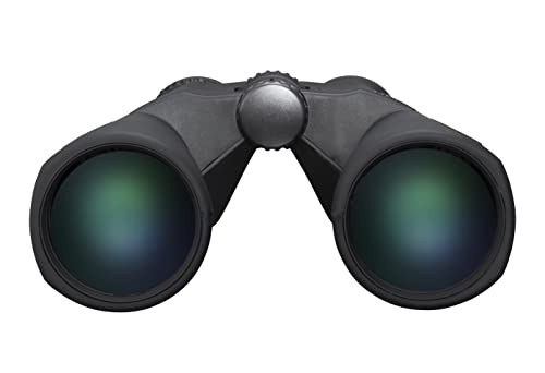 Pentax SP 20x60 WP Binoculars (Black)