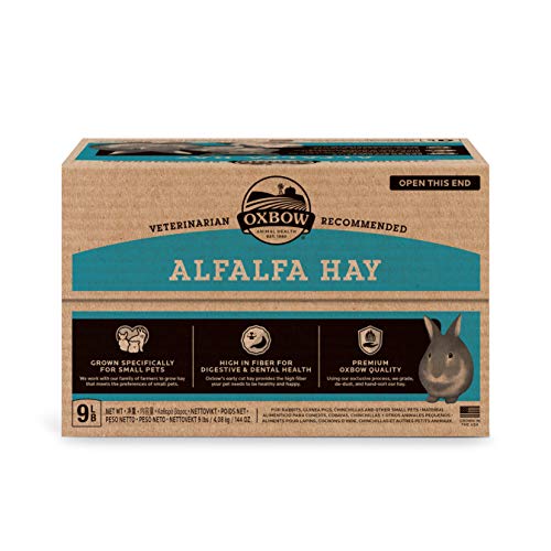 Oxbow Animal Health Alfalfa Hay - All Natural Hay for Young, Pregnant, or Nursing Small Pets - 9 lb.