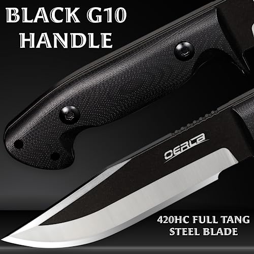 OERLA TAC OLK-033RD Outdoor Knife Fixed Blade Camping Hunting Survival Field Knife 420HC Full Tang Steel with Kydex Sheath and EDC Tactical Belt Clip