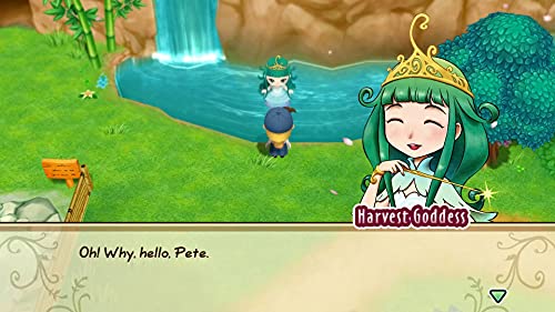Story of Seasons: Friends Of Mineral Town (PS4)