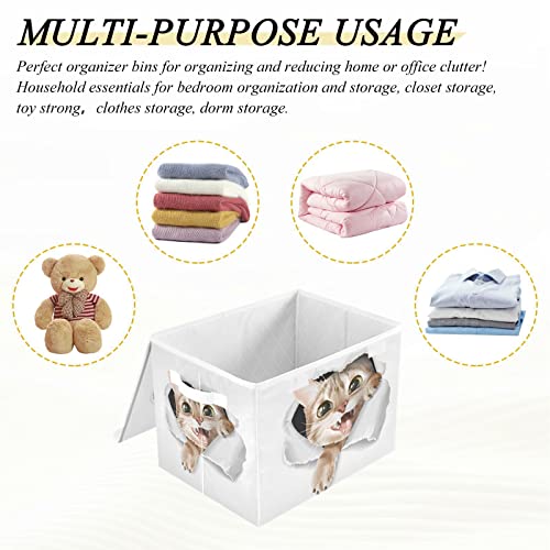 RunningBear Cartoon Cute Cat Large Storage Bins with Lid Collapsible Storage Bin Shelves Basket Clothes Toys Bin for Home Toys Clothes