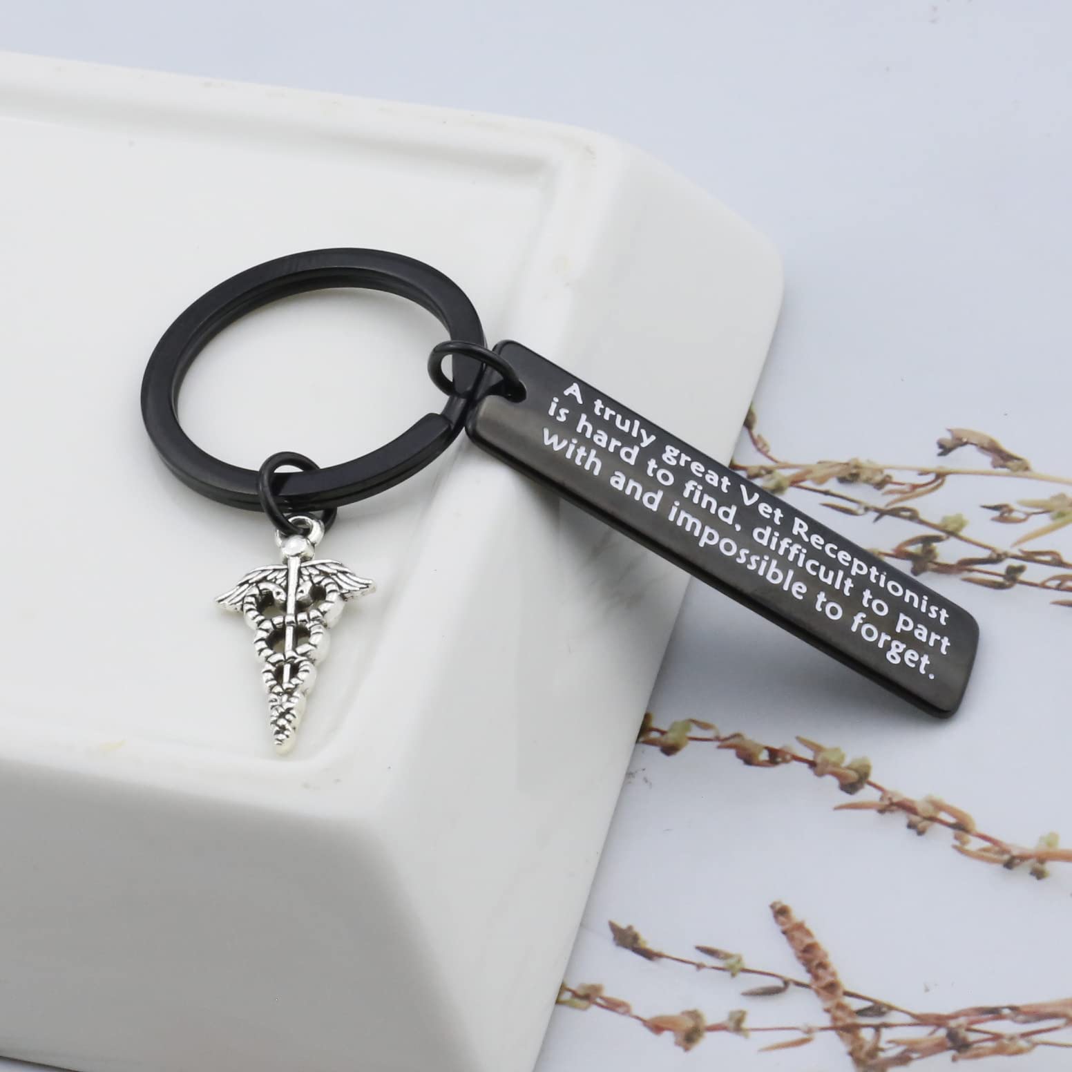 Vet Receptionist Keychain Vet Tech Gift Veterinary Assistant Vet Nurse Gift Veterinary Medicine Gift (Vet Receptionist KB), 1.18
