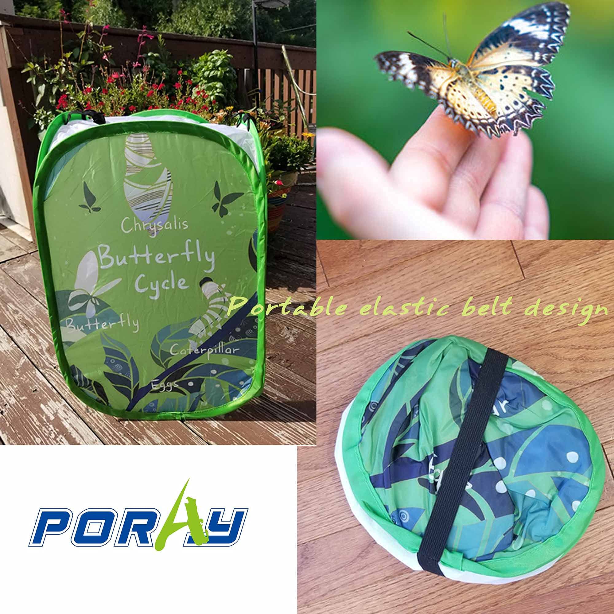 Pop-up Insect and Butterfly Habitat,24" Tall Milkweed plants Net,Collapsible Mesh Cage with Transparent PVC Wall for Observation 16 x 16 x 24 Inches
