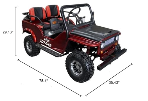 VITACCI GR2-125cc GoKart with Windshield 125cc Semi Auto Youth Jeep Go-Kart with Reverse (Green Color)