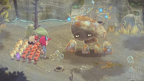 The Wild at Heart (Nintendo Switch)