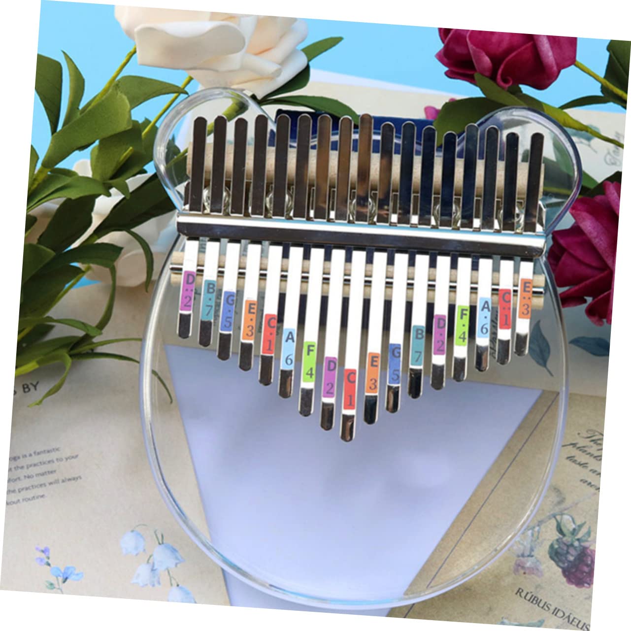 Vaguelly 5pcs Adult Supplies Thumb for Beginner Thumbs Note Stickers Kid Finger -Key Adhesive Scale Musical Piano Key Sticker Decals Instrument Kalimba Keys Learning