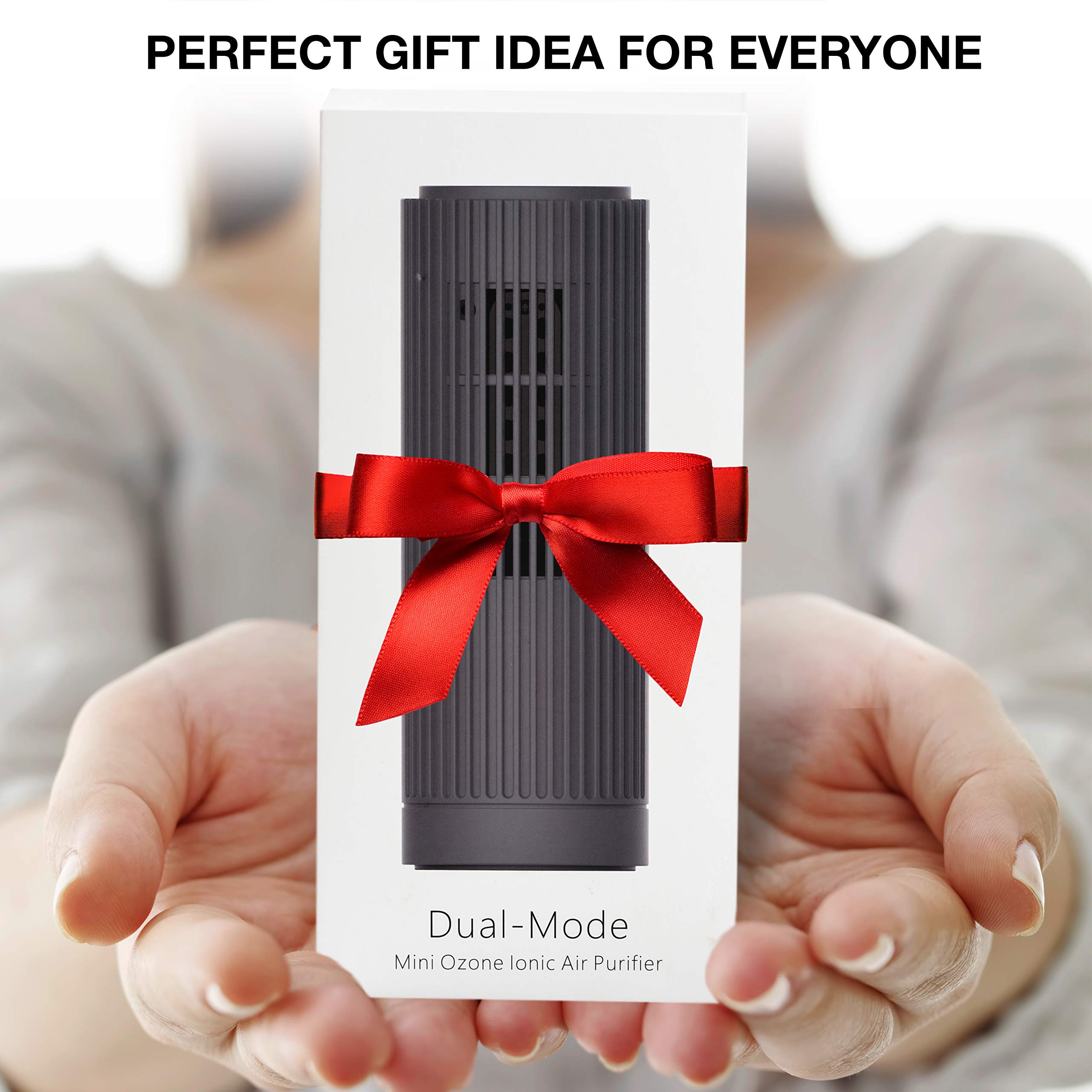 Portable Ozone Air Purifier - Travel Size Air Cleaner Ionizer - Rechargeable Anti-Microbial Ionizer for Car, Travel, Kitchen, Fridge - Dark Grey