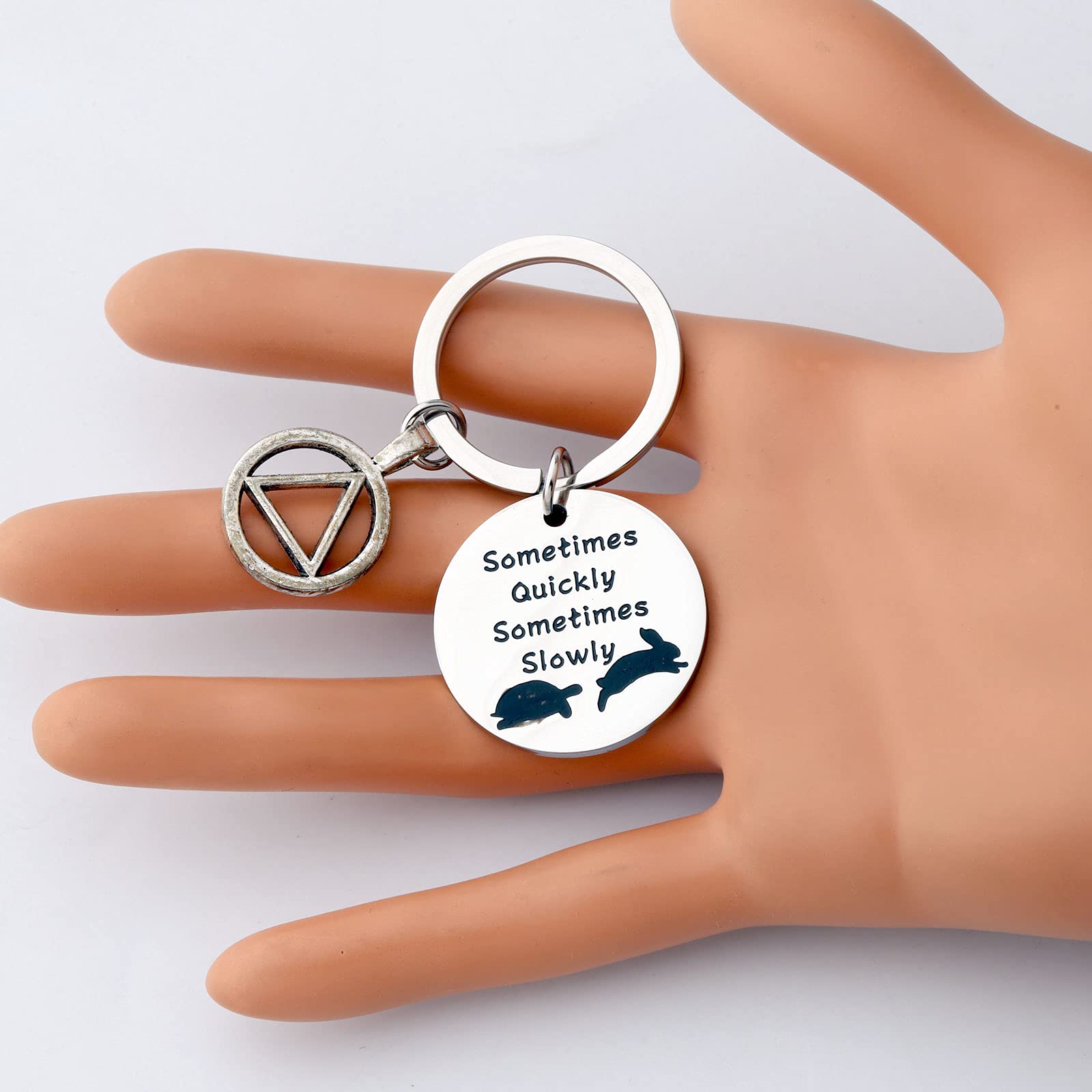 TIIMG Tortoise and Hare Sobriety keychain AA NA Inspirational Gift 12 Step Gifts New Beginning Gift (Sometimes Quickly)