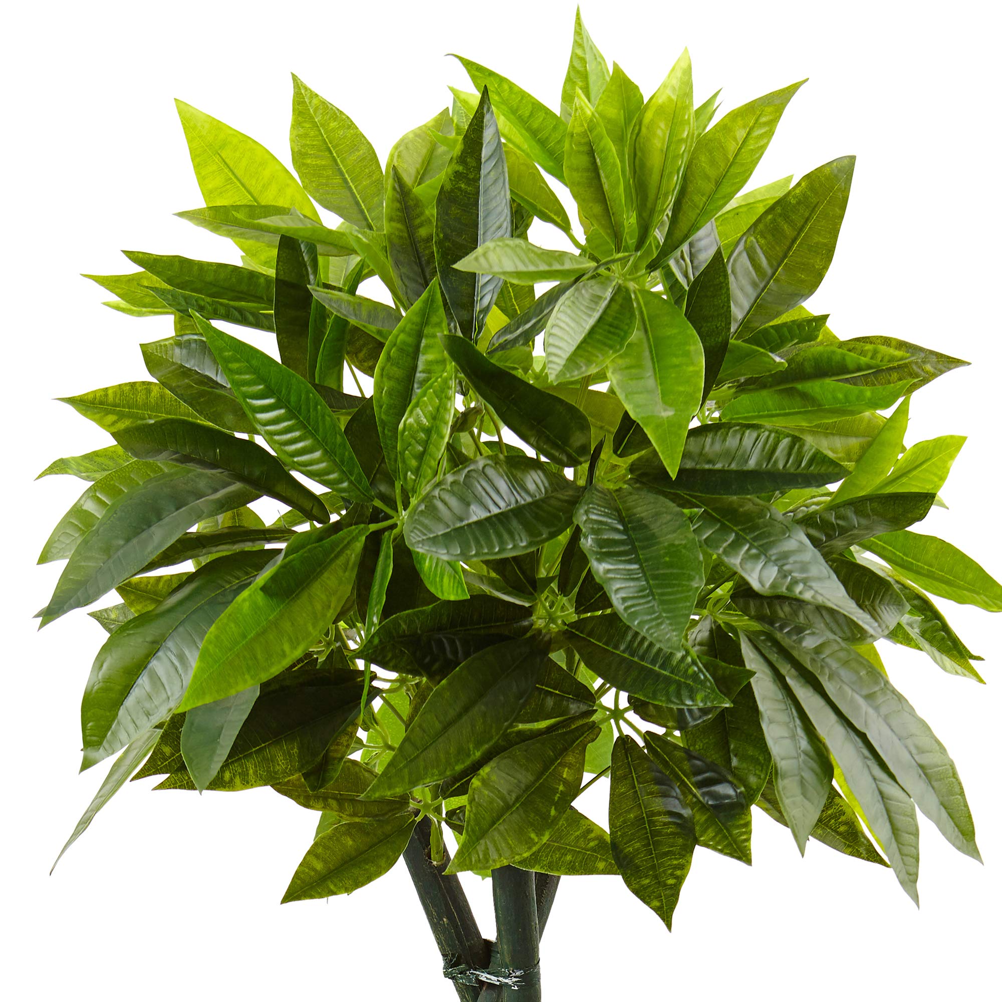 Nearly Natural 5ft. Money Artificial Tree in Black Square Planter