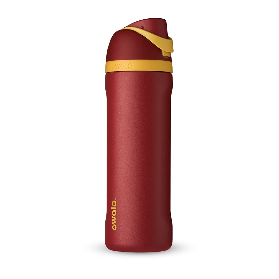 Owala Harry Potter FreeSip Insulated Stainless Steel Water Bottles with Straw (24 Oz)