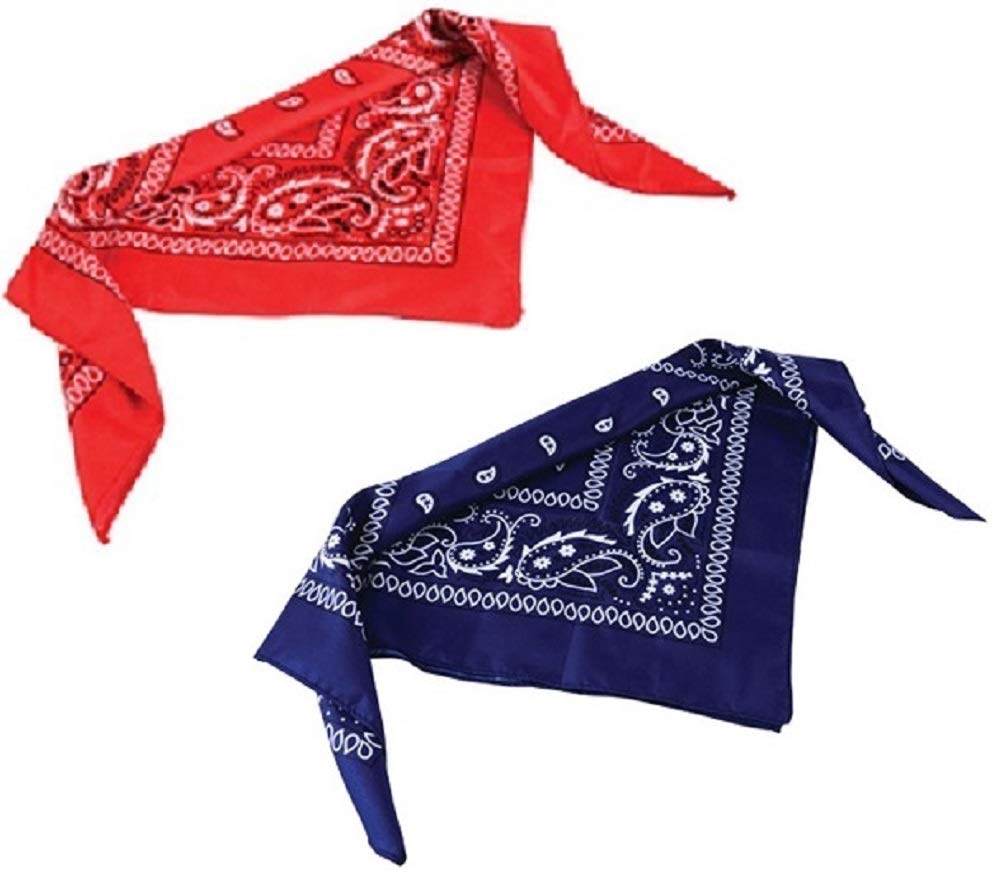 Novelty Treasures Costume Play Set Child Western Cowboy Hat, Plastic Sheriff Badge, and Matching Bandana Scarf (2 Sets)