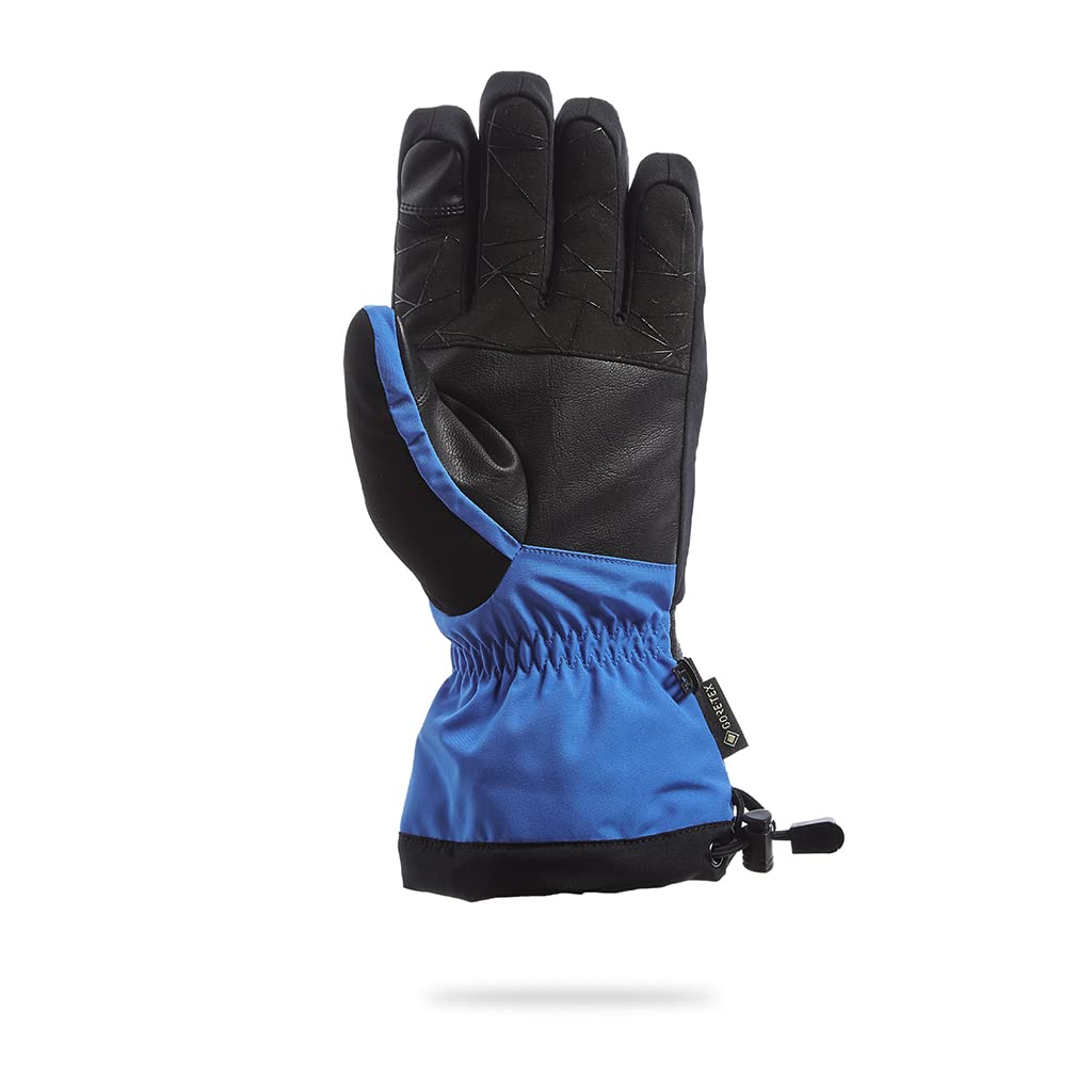 Spyder Men's Overweb Gore-Tex Ski Glove