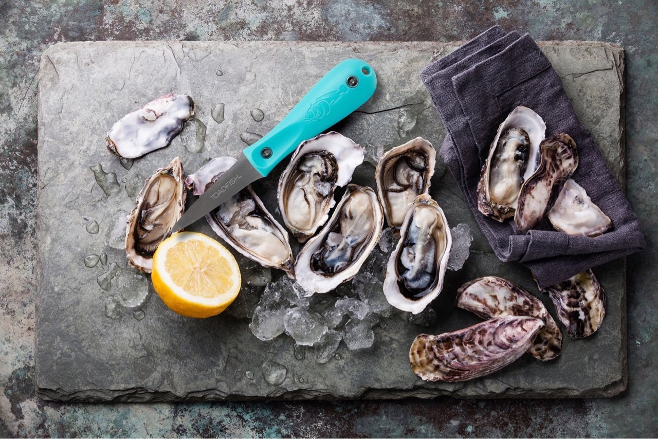 Toadfish Oyster Shucking Knife, Oyster Opener Tool, PUT 'EM BACK Oyster Knife by Toadfish