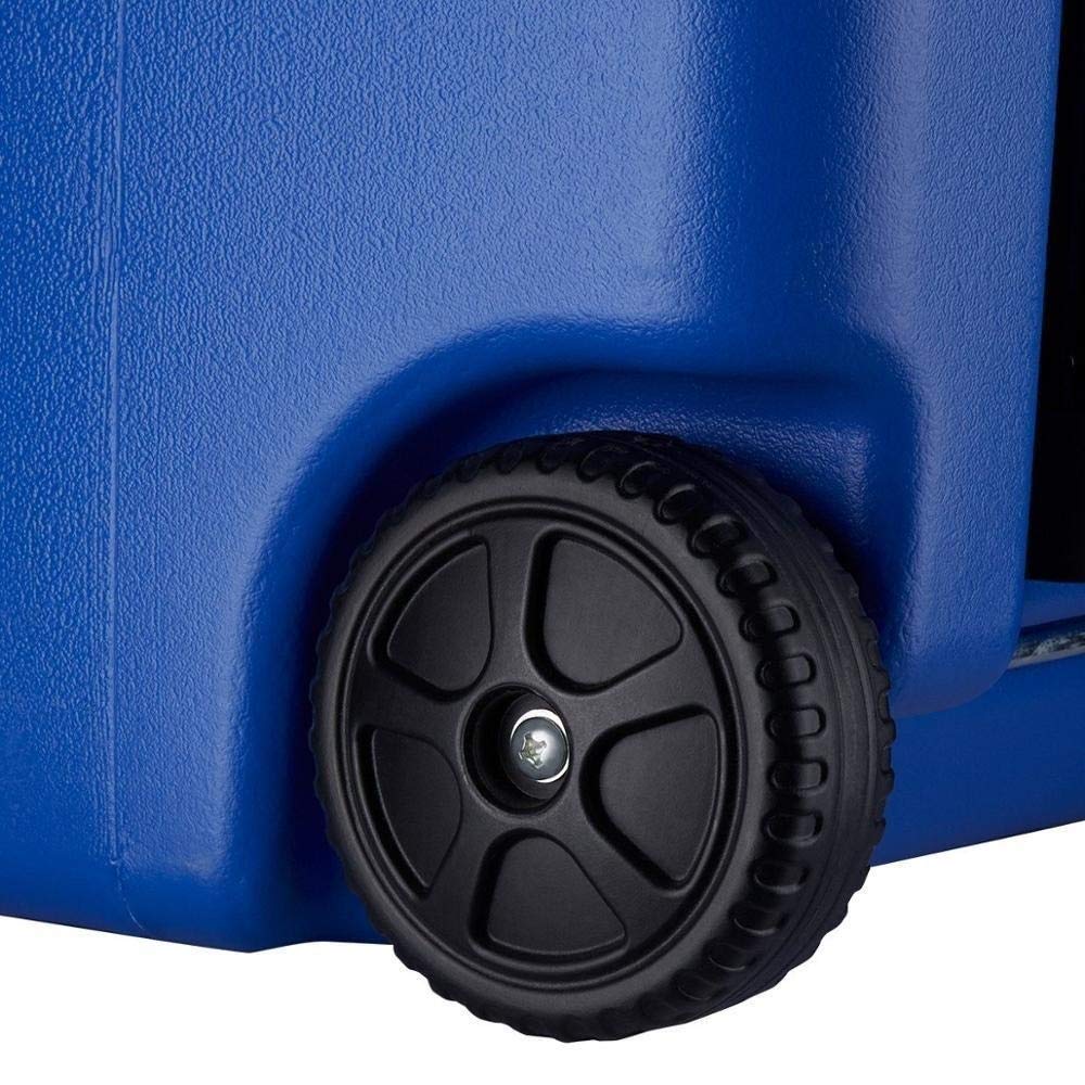 N/A Thermoelectric Mini Fridge Cooler and Warmer - for Home,Office, Car, Dorm or Boat - Compact & Portable