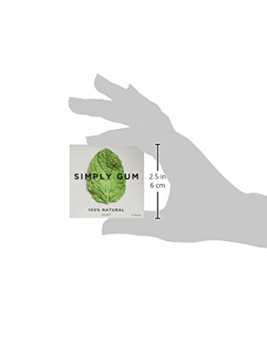 Simply Gum | Variety Pack - Peppermint, Cinnamon, Ginger, Fennel, Maple, Coffee | Synthetic Free + Aspartame Free + non GMO