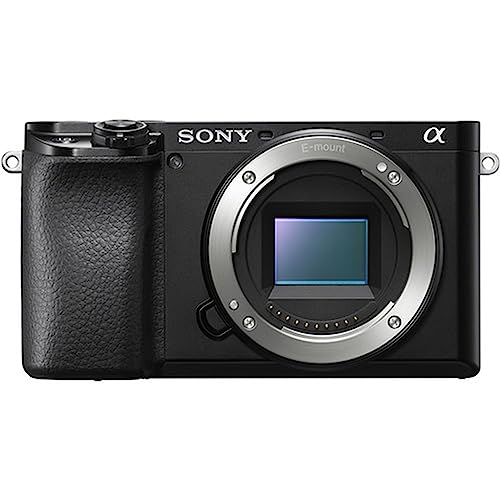 Sony a6100 Mirrorless Camera + Sony E PZ 16-50mm f/3.5-5.6 OSS Lens + 2X 64GB Memory + Case + Tripod & More (20pc Bundle)