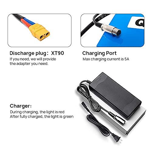 QWW 48V20AH 2000W Lithinum ion Battery for Electric Bicycle Scooter Tricycle Motorcycle,Electric Bicycle/Scooter/Tricycle/Motorcycle Battery with Charge