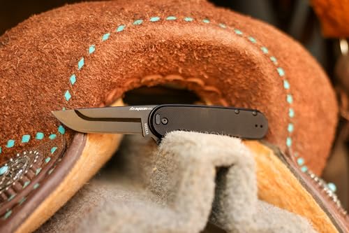OUTDOOR EDGE RAZOR VX3 | Replaceable Blade EDC Flipper Folding Pocket Knife | 3" Blade, Ball Bearings, Black G-10 Stainless Steel Handle, Reversible Pocket Clip | Outdoor, Camping, Survival, Utility