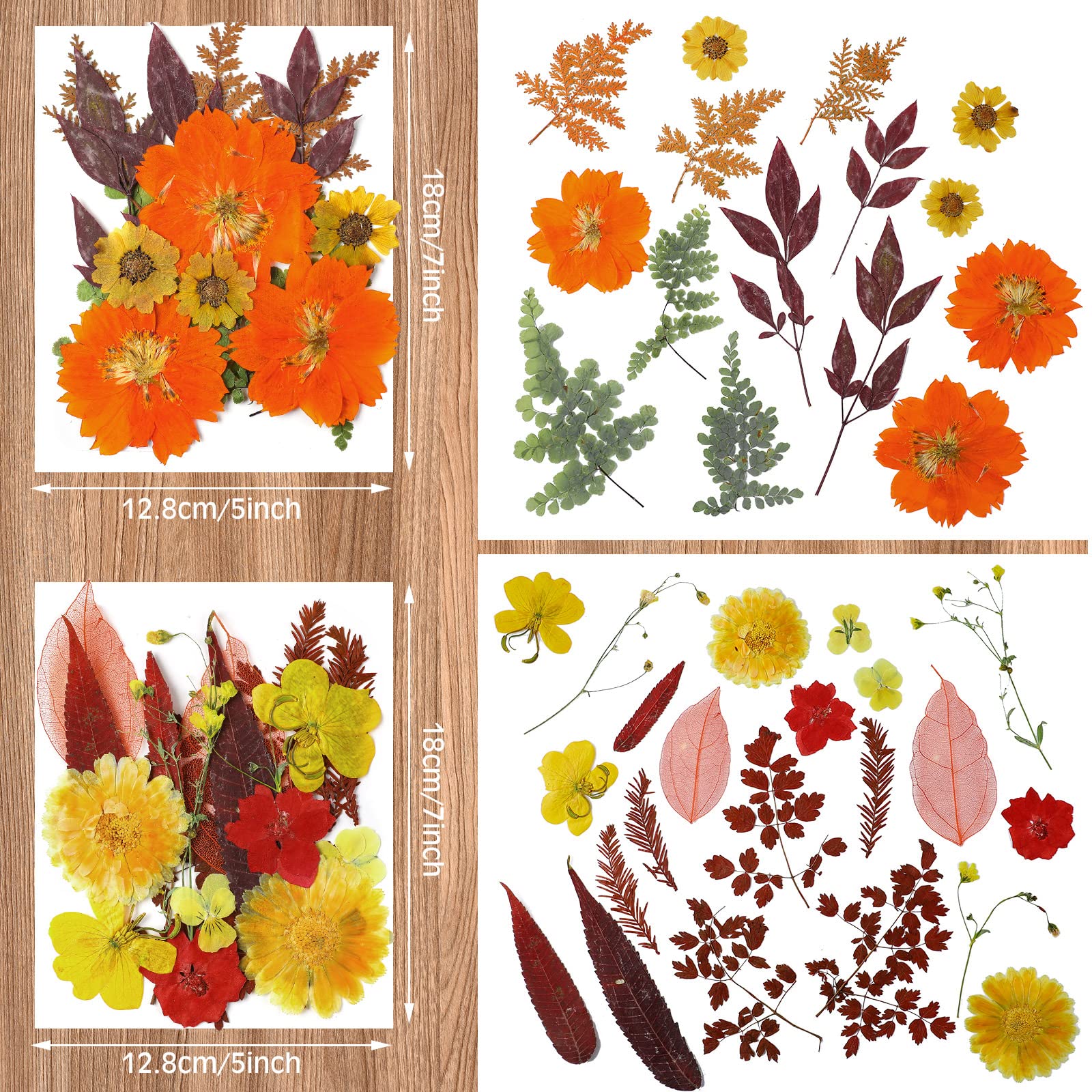 Pressed Flowers Bulk Dried Flower for Resin Mold, Dried Flower Leave Natural with Tweezer for Crafts Christmas DIY Gift Scrapbooking(Graceful Style)