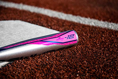 Rawlings | STORM T-Ball Bat | USA Softball & Baseball | -12 Drop | 24" | Silver/Pink