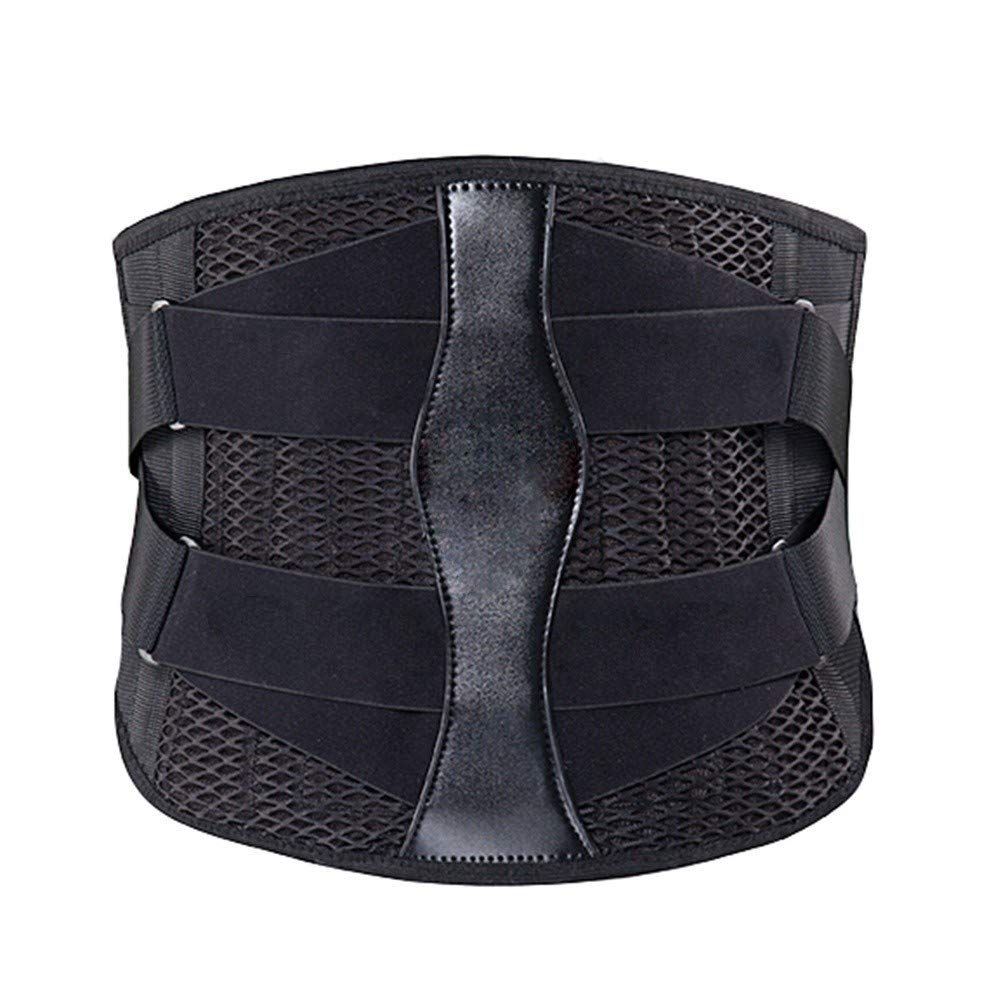 TANGIST Back Brace Self-heating Lumbar Support Belt For Men & Women Relieve Lower Back Pain Sciatica Scoliosis Herniated Disc (Size : L)